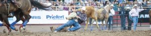 Contact | Pikes Peak or Bust Rodeo