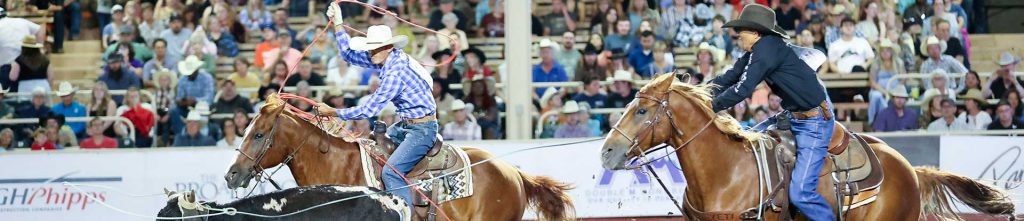 Contact | Pikes Peak or Bust Rodeo