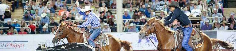 Contact | Pikes Peak or Bust Rodeo